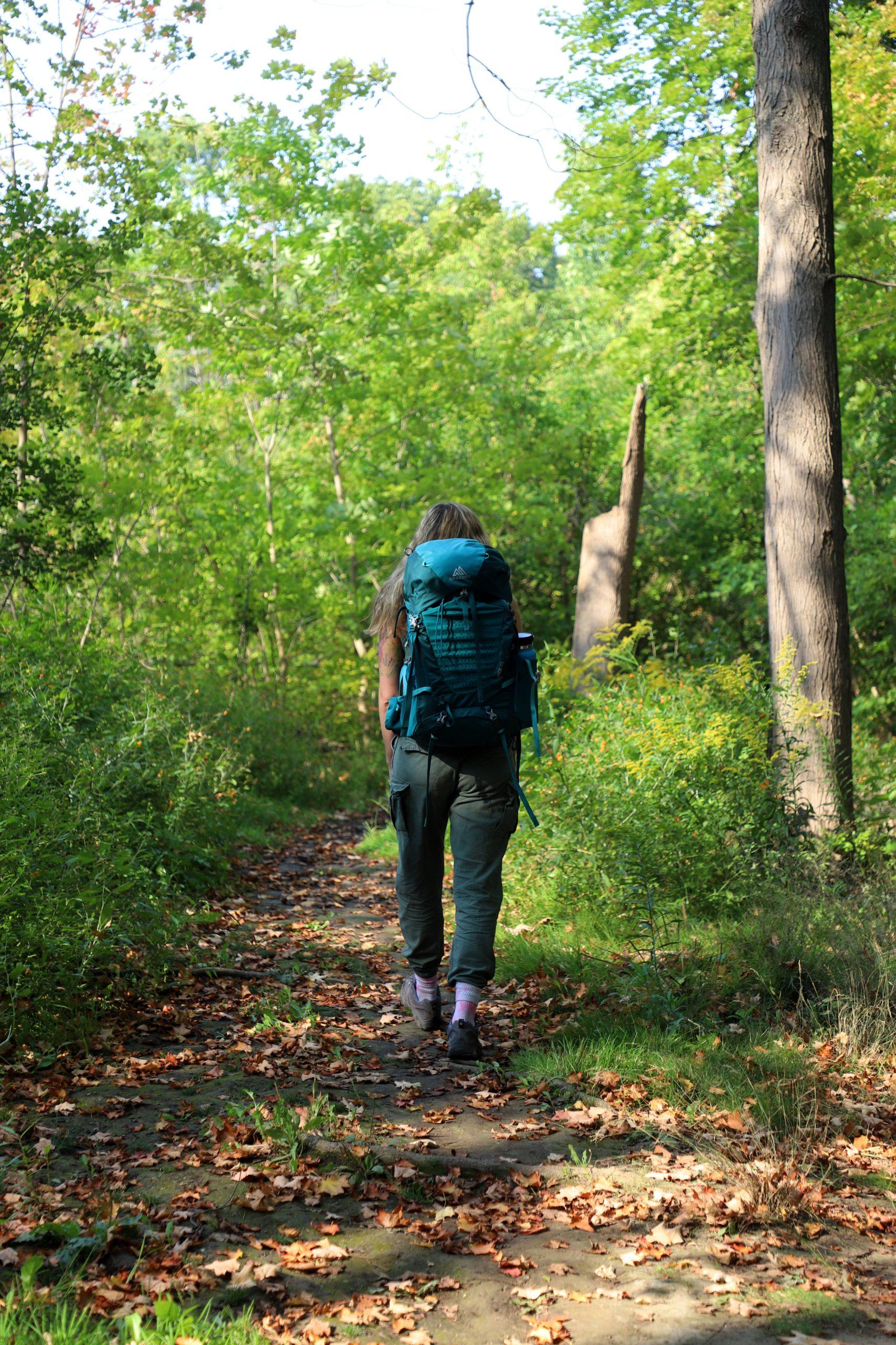 Forest Therapy Walk | McMichael Canadian Art Collection